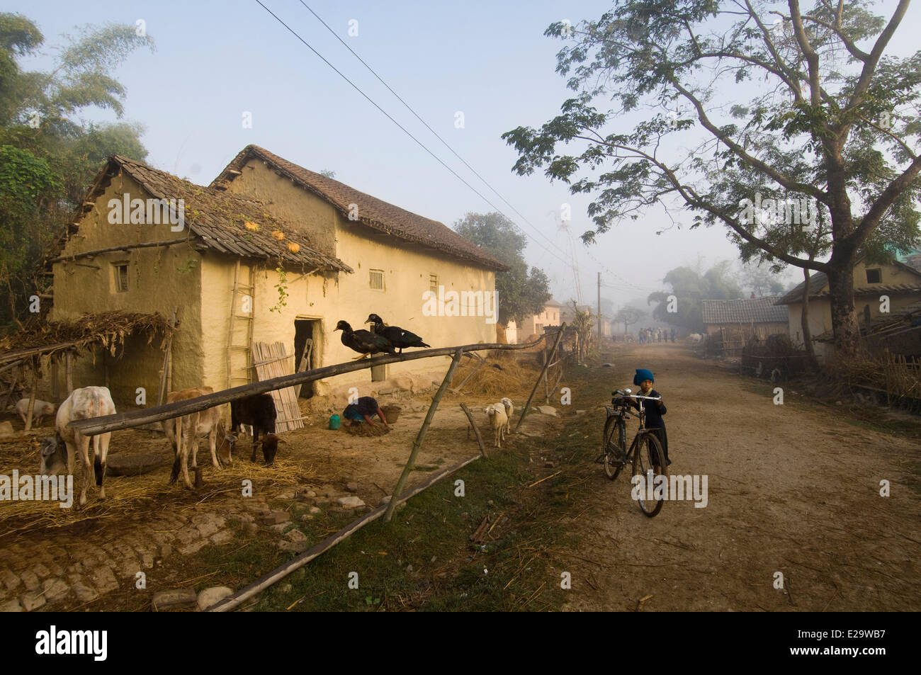 Nepal, Terai area, Rapti Zone, Dang Deokhuri District, traditional ...