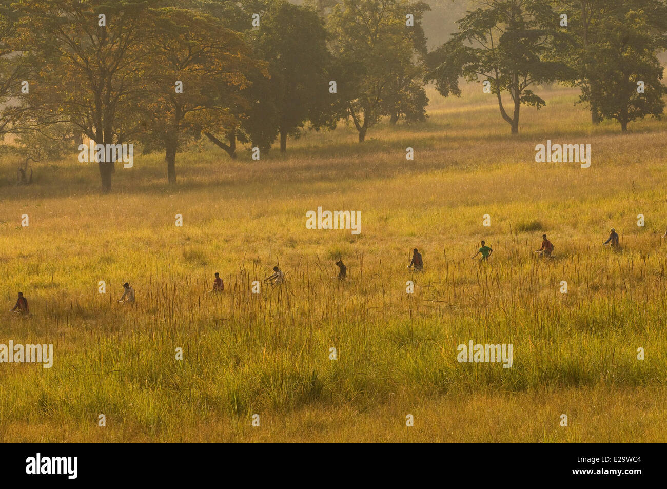 Terai nepal plain hi-res stock photography and images - Alamy