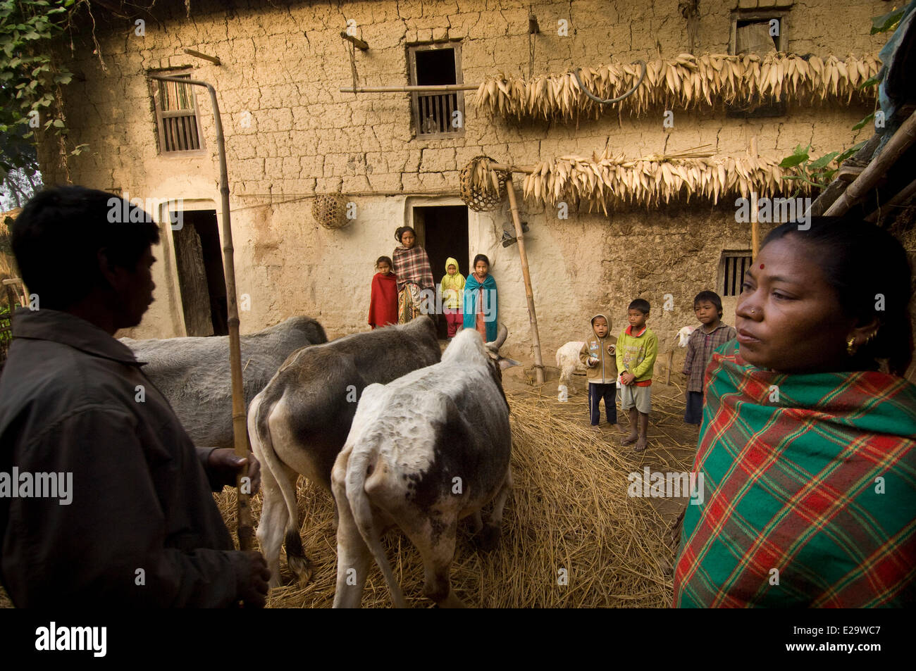 Nepal tharu house hi-res stock photography and images - Alamy