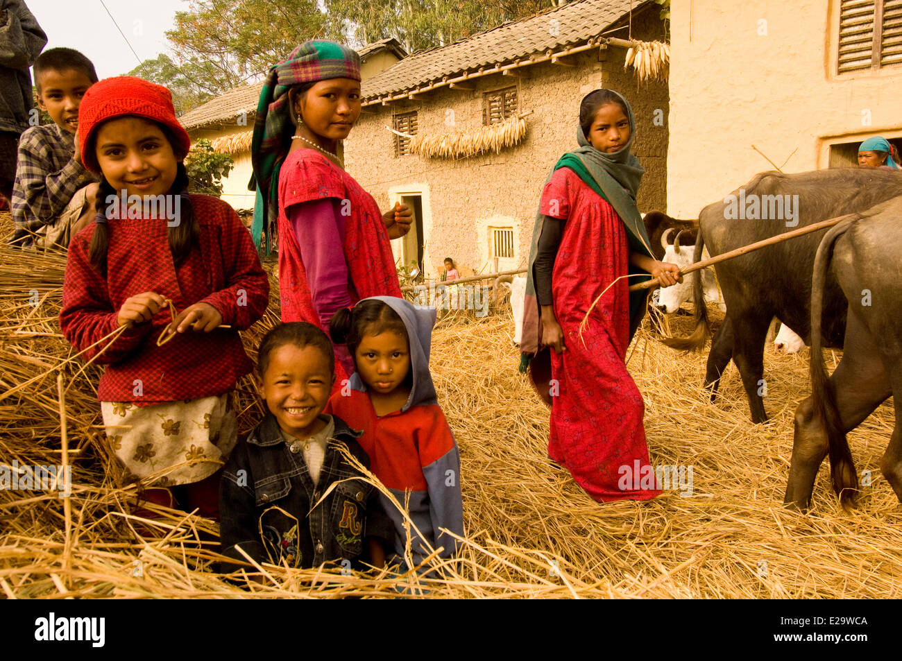 Nepal, Terai area, Rapti Zone, Dang Deokhuri District, traditional ...