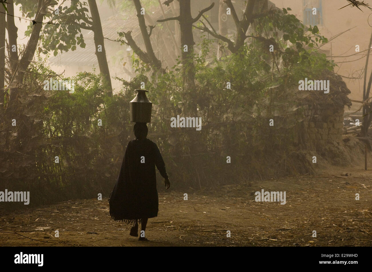 Nepal, Terai area, Rapti Zone, Dang Deokhuri District, traditional ...