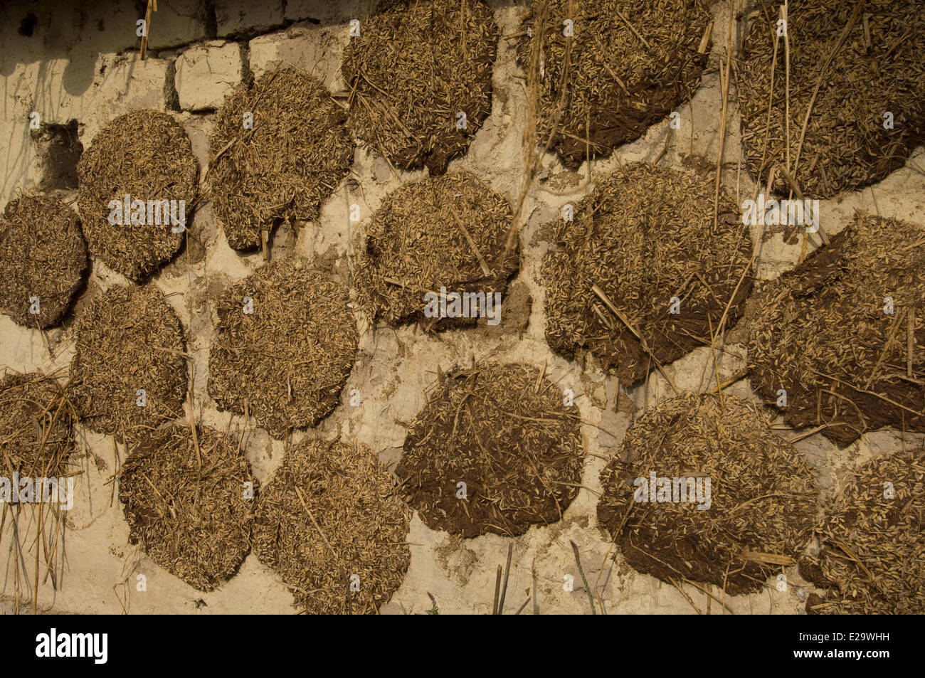 Nepal, Terai area, Rapti Zone, Dang Deokhuri District, traditional ...