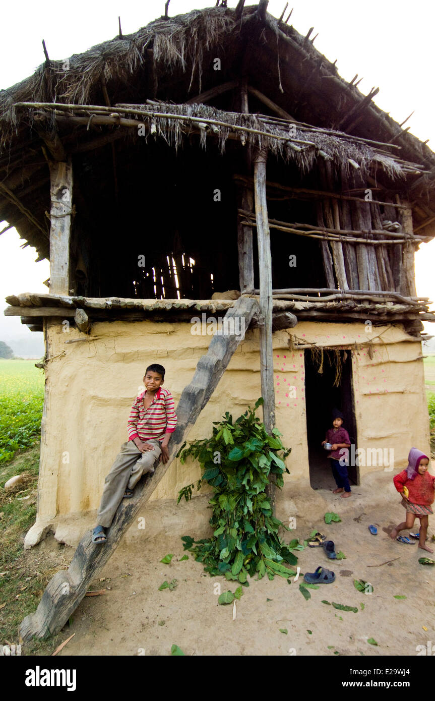 Terai Area High Resolution Stock Photography and Images - Alamy