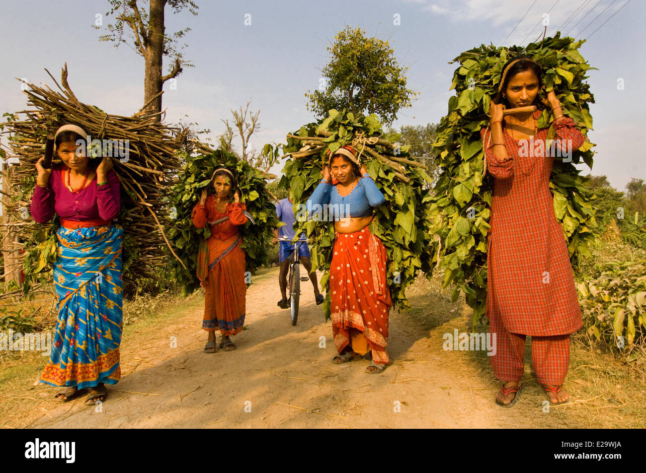 Nepal, Terai area, Seti Zone, Kailali District, traditional life of a ...