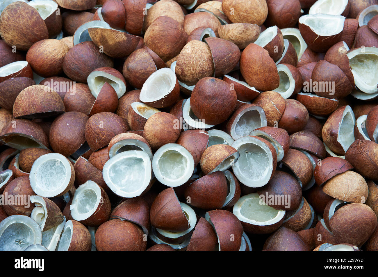 Calicut hi-res stock photography and images - Alamy