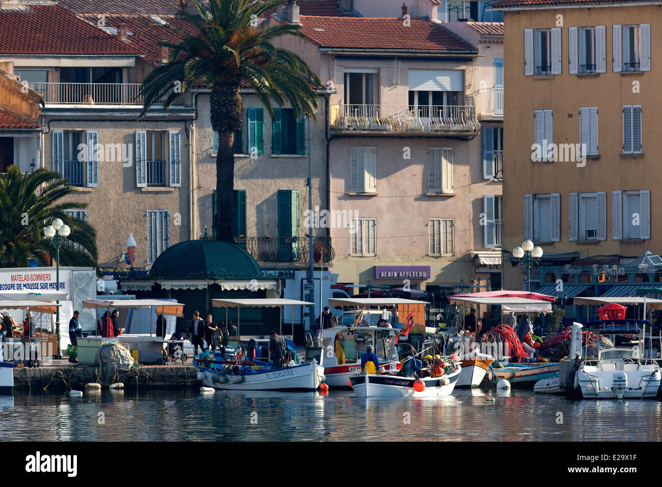 Pointus fishing hi-res stock photography and images - Alamy