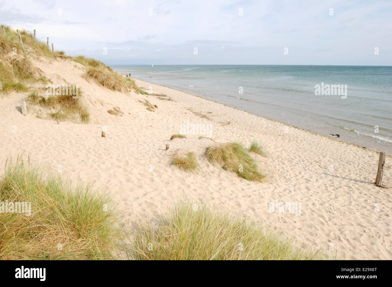 France, Manche, Pouppeville, Utah Beach, sandy beach Stock Photo - Alamy