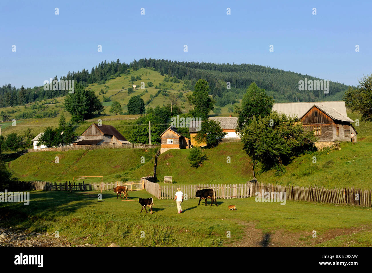 Romania, Bucovina region Stock Photo - Alamy