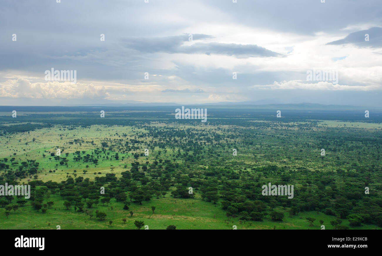 aerial scenery around the Bwindi Impenetrable Forest in Uganda (Africa ...