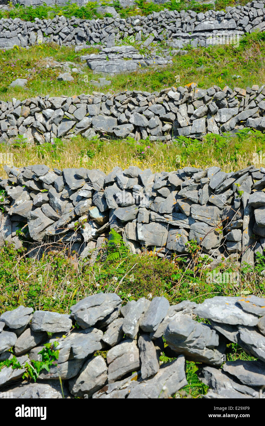 Inishmore stone walls hi-res stock photography and images - Alamy