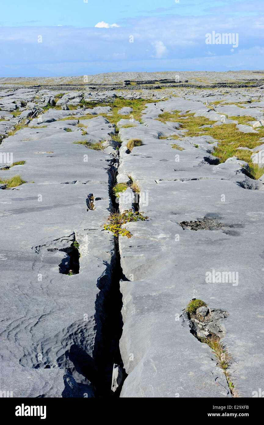 Ireland, County Galway, Aran Islands, Inishmore, Cracked limestone ...
