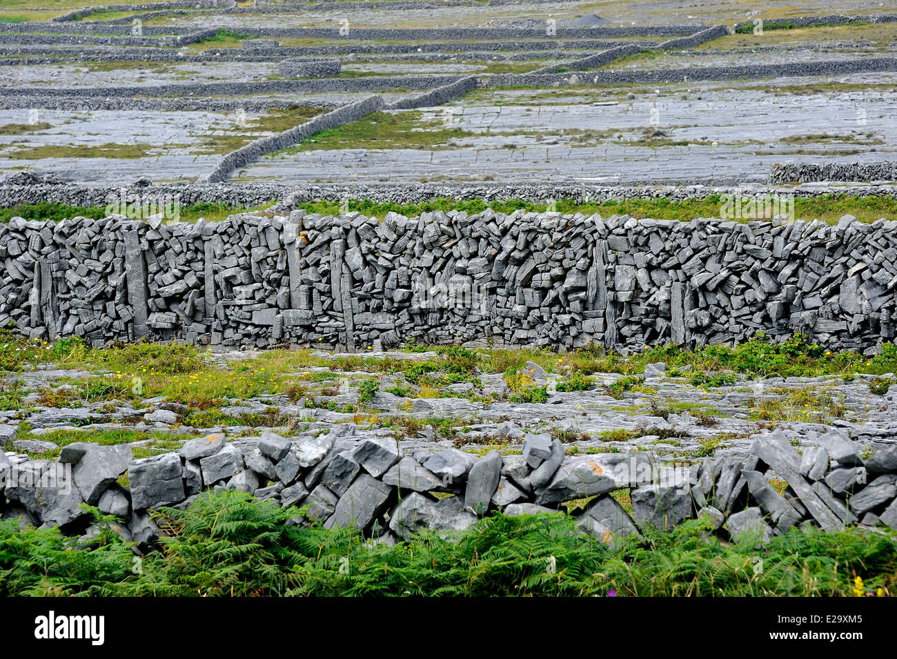 Inishmore stone walls hi-res stock photography and images - Alamy