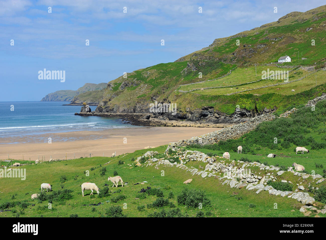 Ireland, County Donegal, Muckross Head beach Stock Photo - Alamy