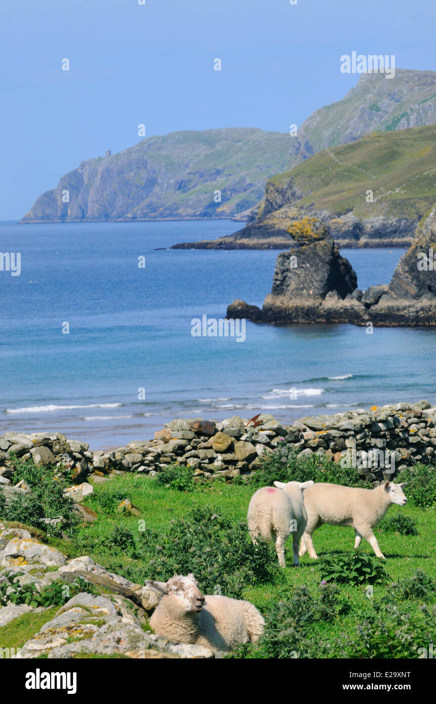 Muckross donegal hi-res stock photography and images - Alamy