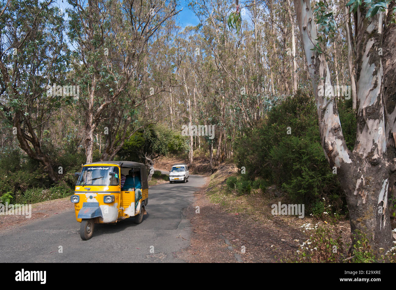 India, Tamil Nadu State, Ooty, a hill station in the Nilgiri Hills ...