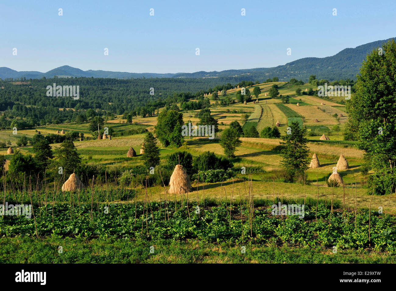 Romania, Carpathian Mountains, Maramures region, Iza valley Stock Photo ...