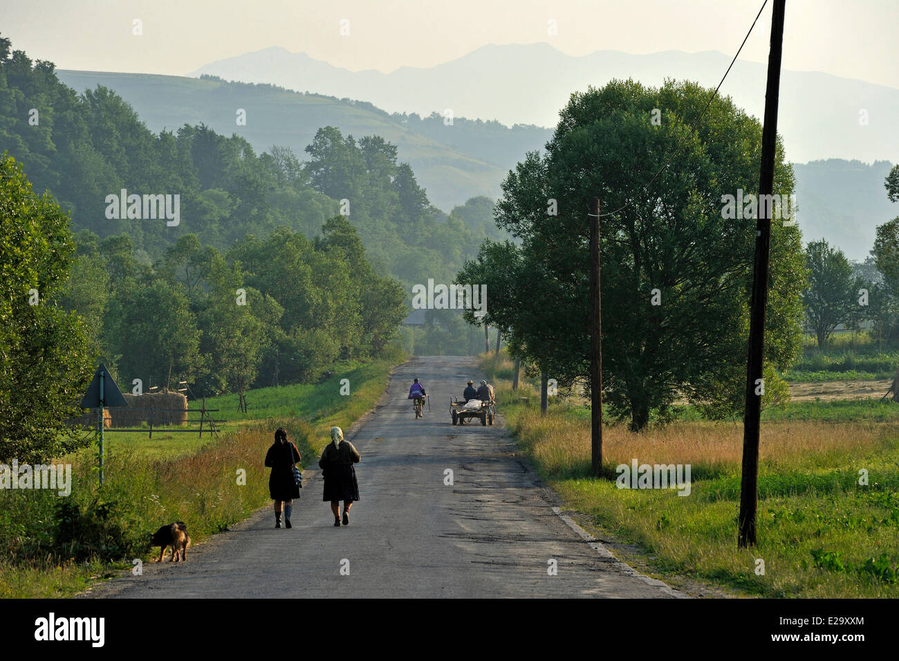 Romania, Carpathian Mountains, Maramures region, Iza valley, village of Botiza Stock Photo - Alamy