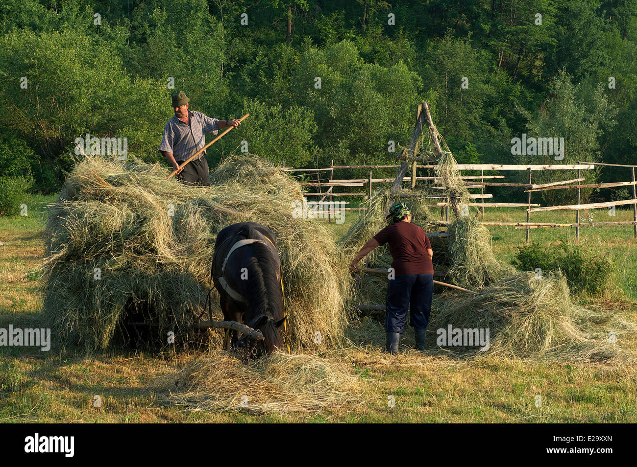 Romania, Carpathian Mountains, Maramures region, Iza valley, village of ...