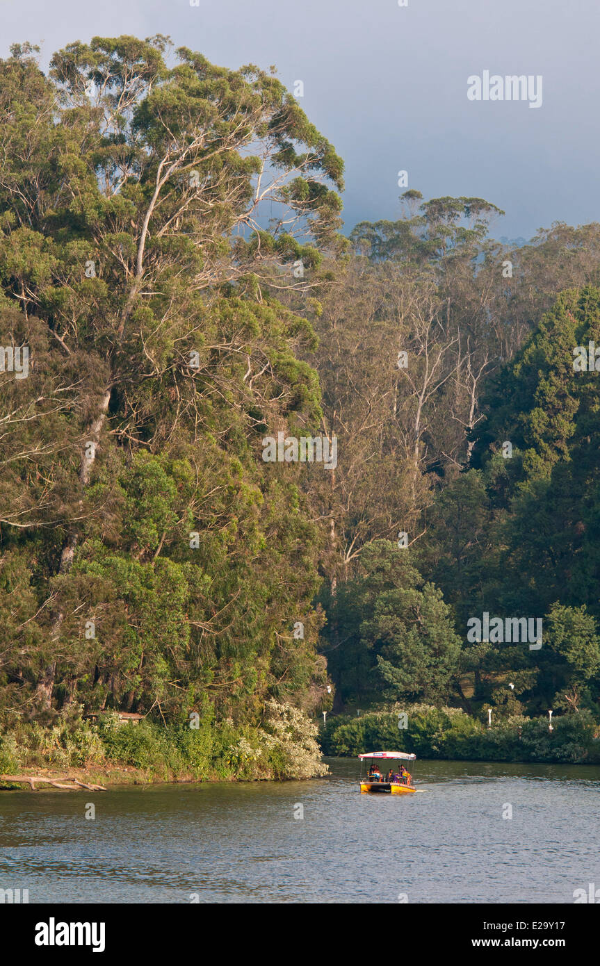 India, Tamil Nadu State, Ooty, a hill station in the Nilgiri Hills ...
