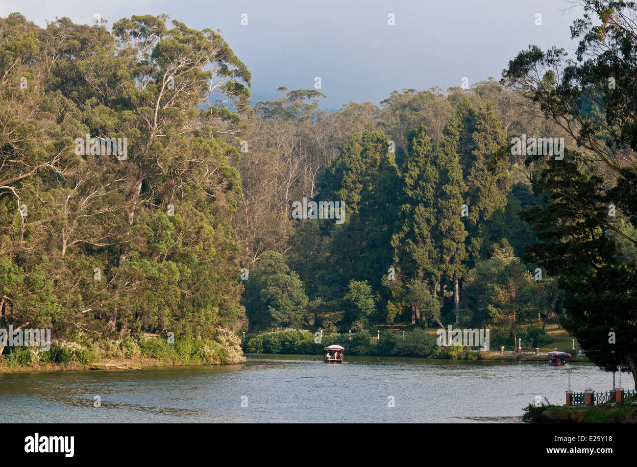 India, Tamil Nadu State, Ooty, a hill station in the Nilgiri Hills ...