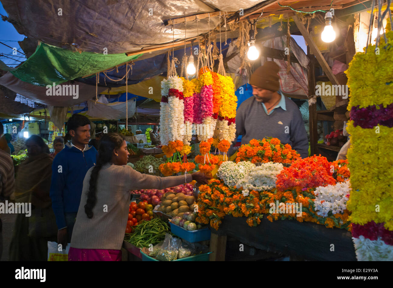 India, Tamil Nadu State, Ooty, a hill station in the Nilgiri Hills ...