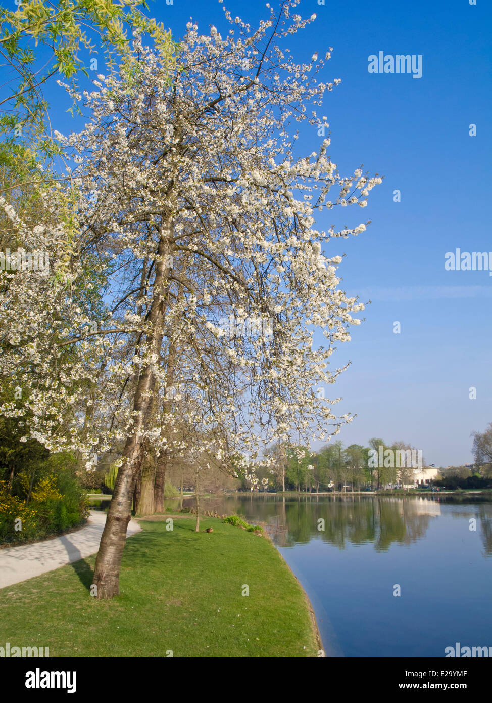 France, Paris, the Bois de Vincennes, Lake Daumesnil Stock Photo - Alamy