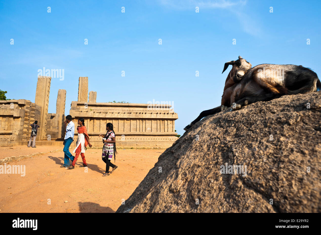Rayala hi-res stock photography and images - Alamy