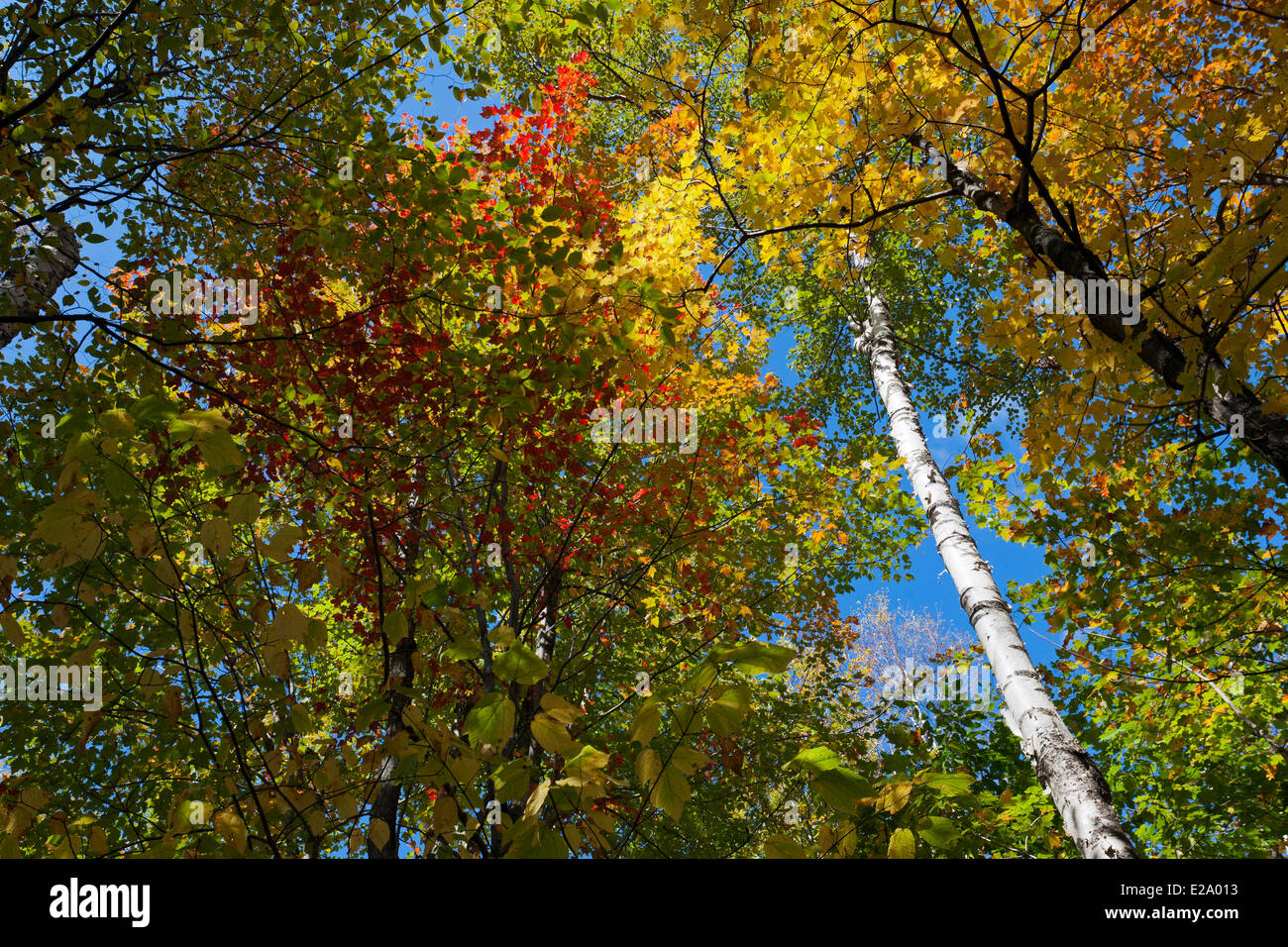 Mont orford hi-res stock photography and images - Alamy