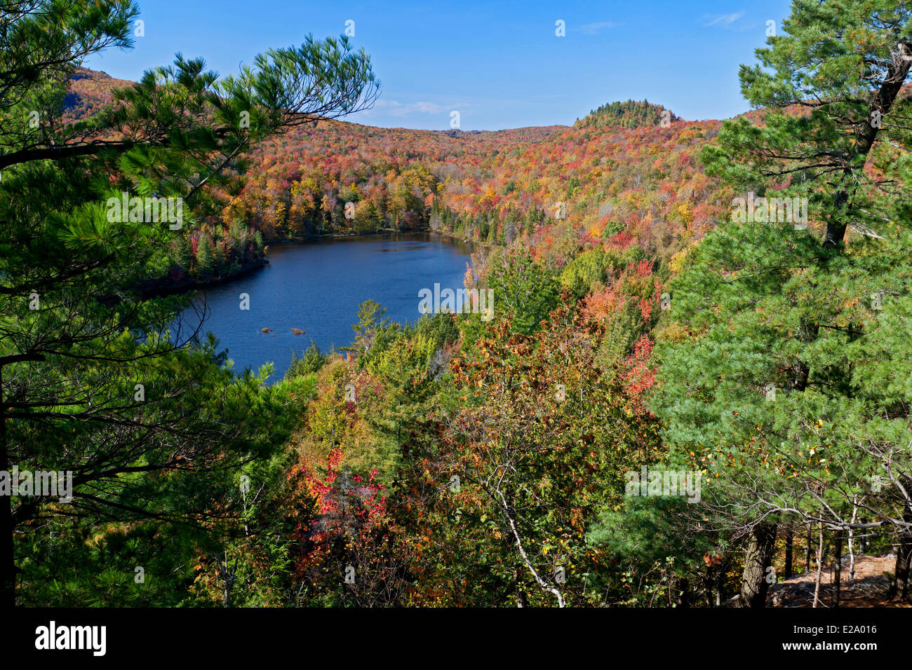 Fall foliage quebec hi-res stock photography and images - Alamy