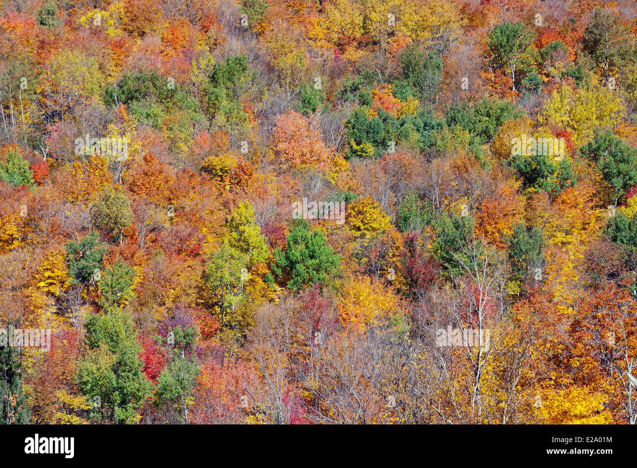 Canada, Quebec province, Eastern Townships or Estrie, Mont Sutton, fall ...
