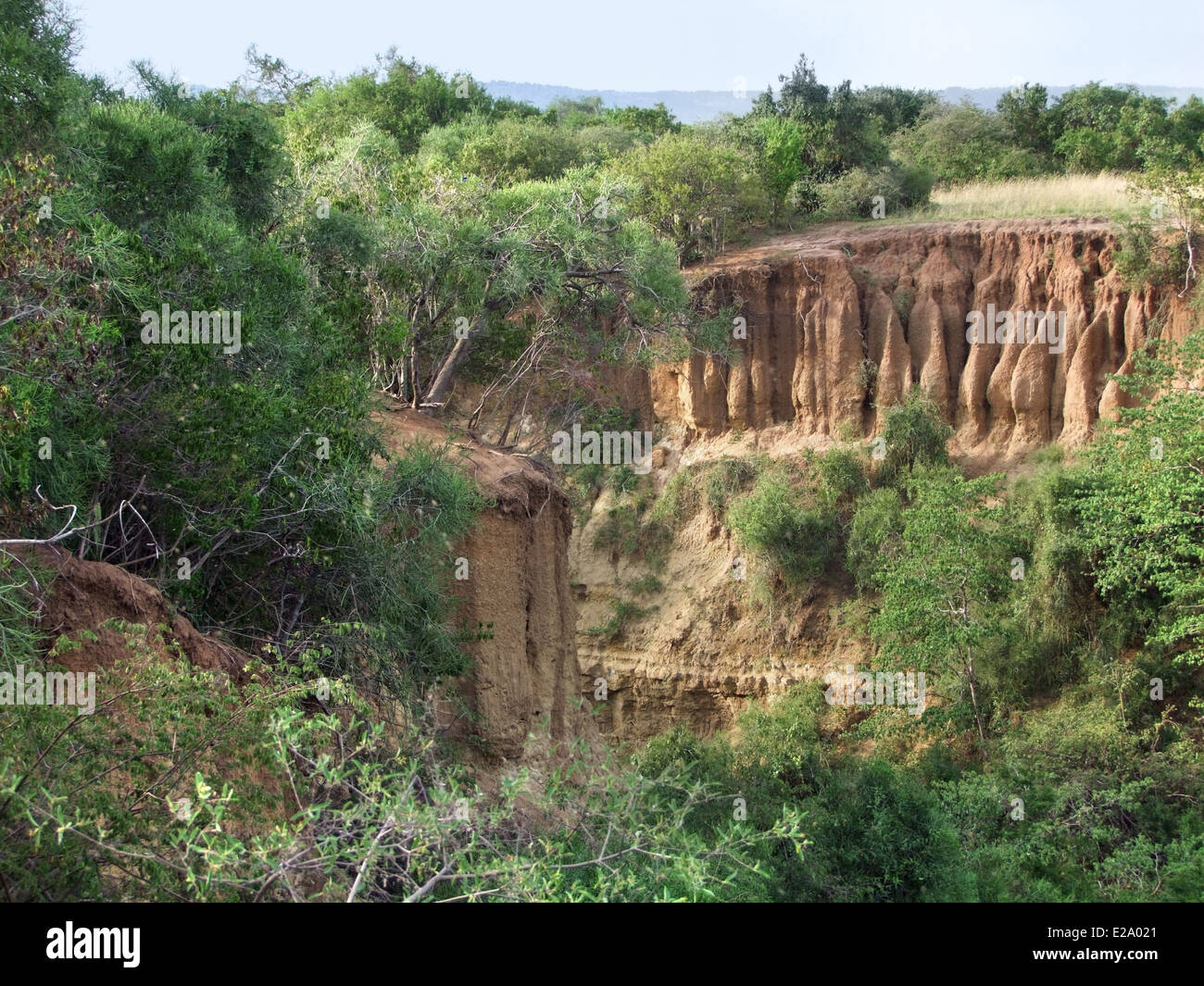 Albert rift valley hi-res stock photography and images - Alamy