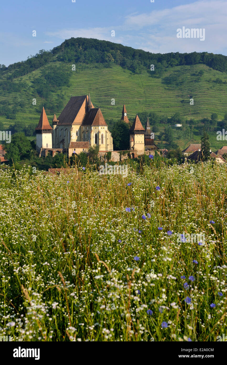 Biertan hi-res stock photography and images - Alamy