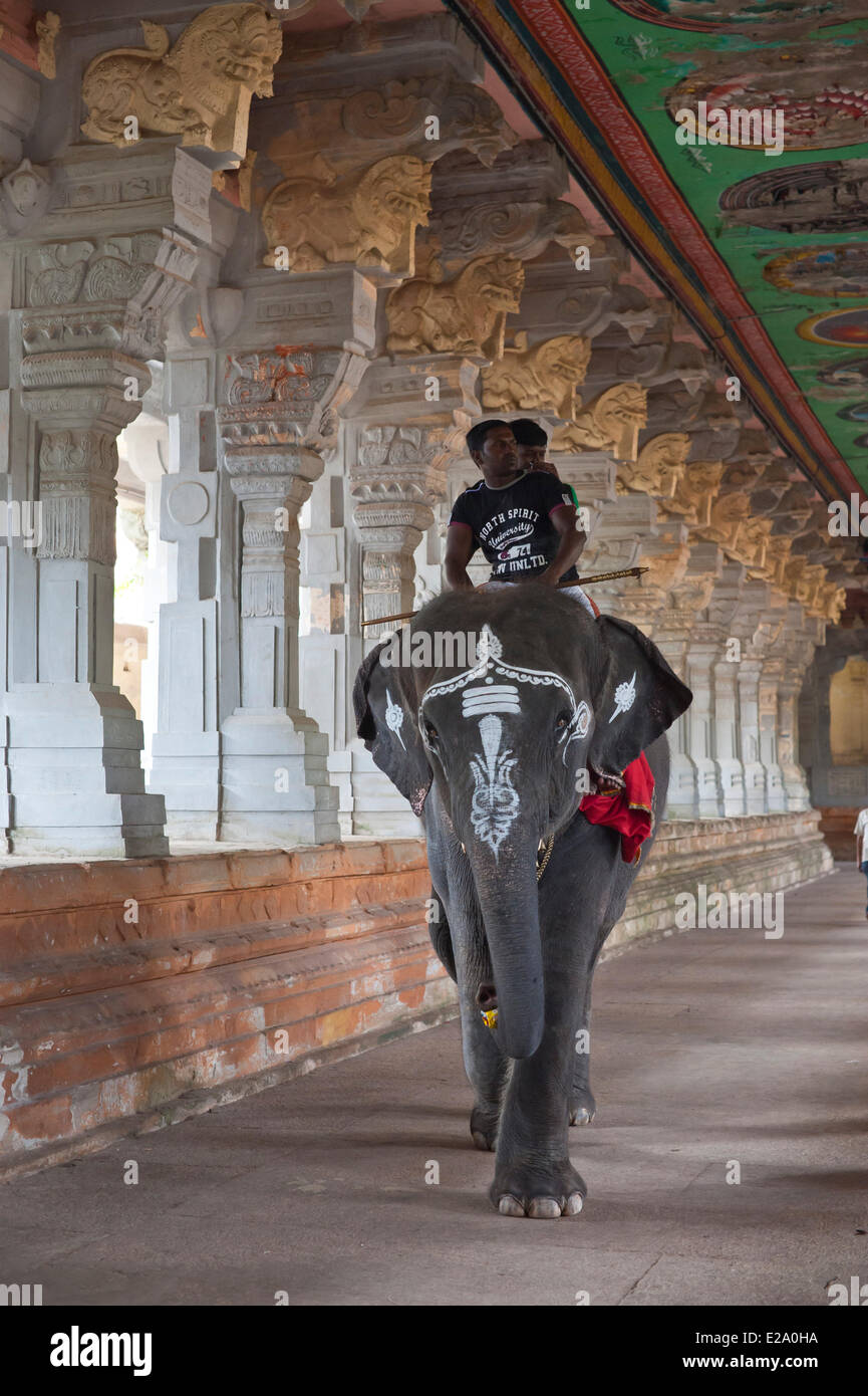 Holy cities of india hi-res stock photography and images - Alamy