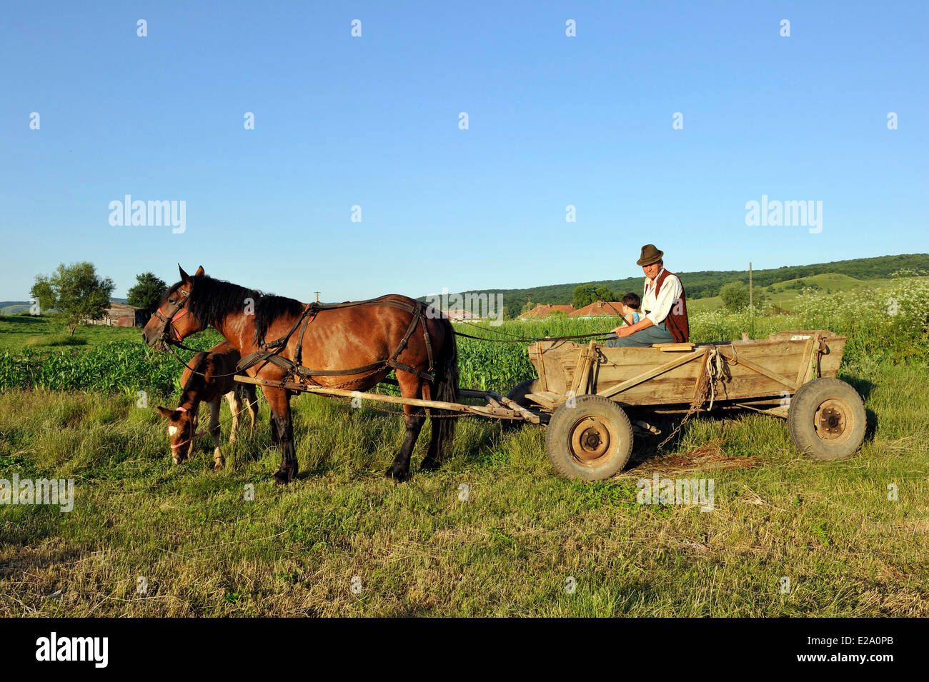 Romania, Transylvania, land of the saxon citadel, Valeni village Stock ...