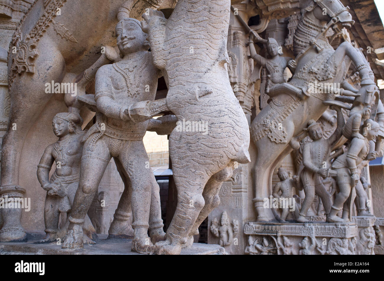 India, Tamil Nadu state, Tiruchirappalli (Trichy), the Sri ...