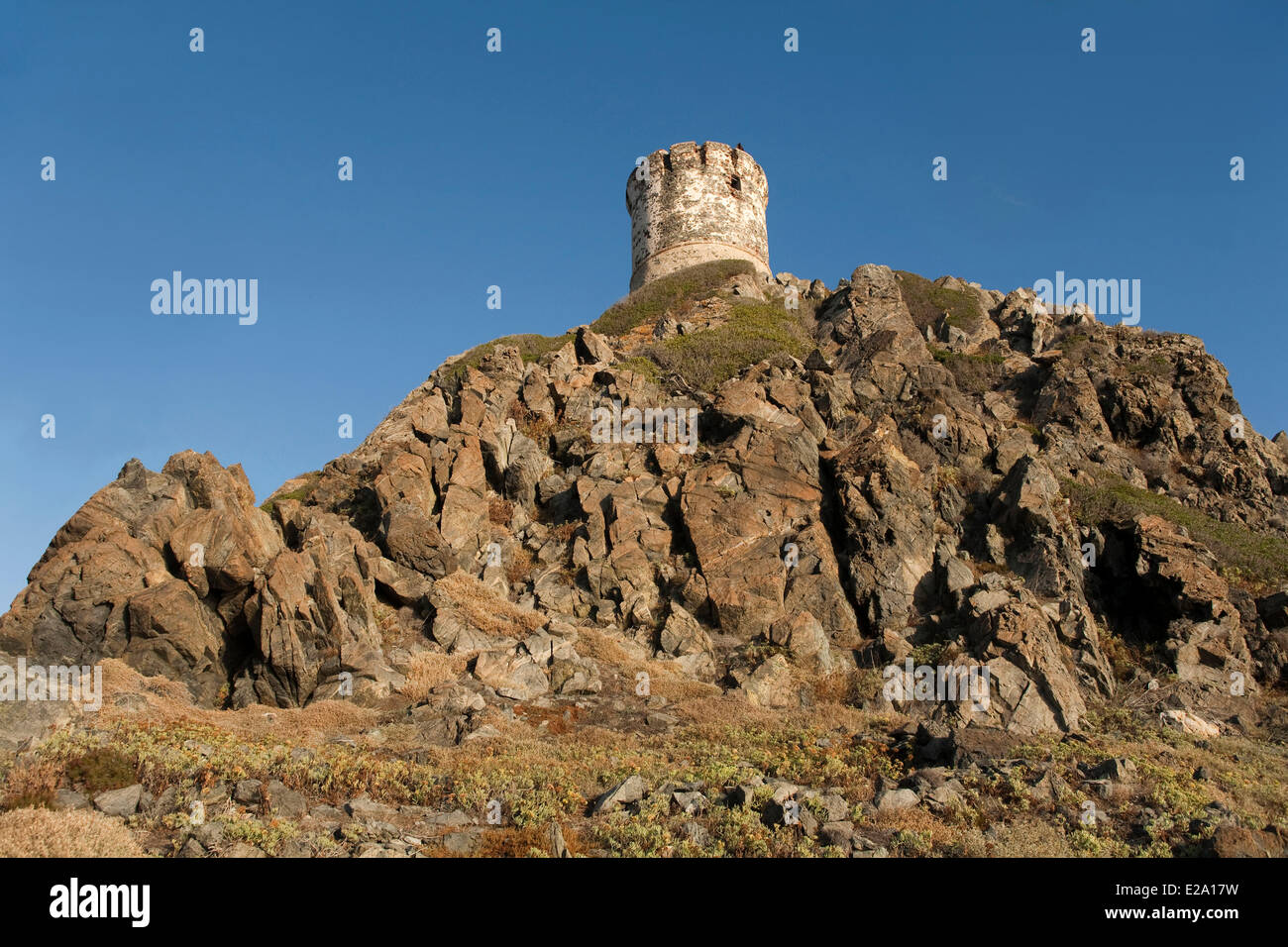 Parata tower hi-res stock photography and images - Alamy