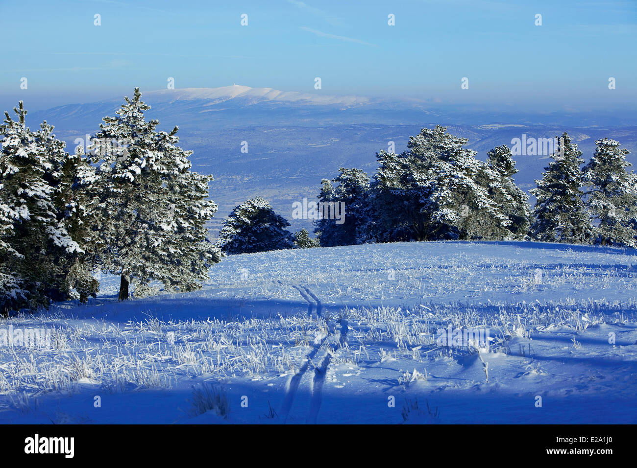 France, Vaucluse, Parc Naturel Regional du Luberon (Natural Regional ...