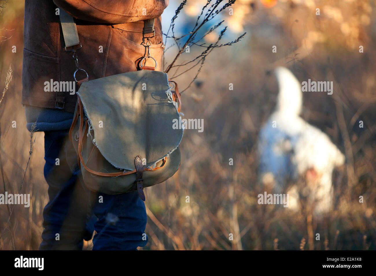France, Vaucluse, Luberon, Bonnieux, harvest of truffles with Jacky ...