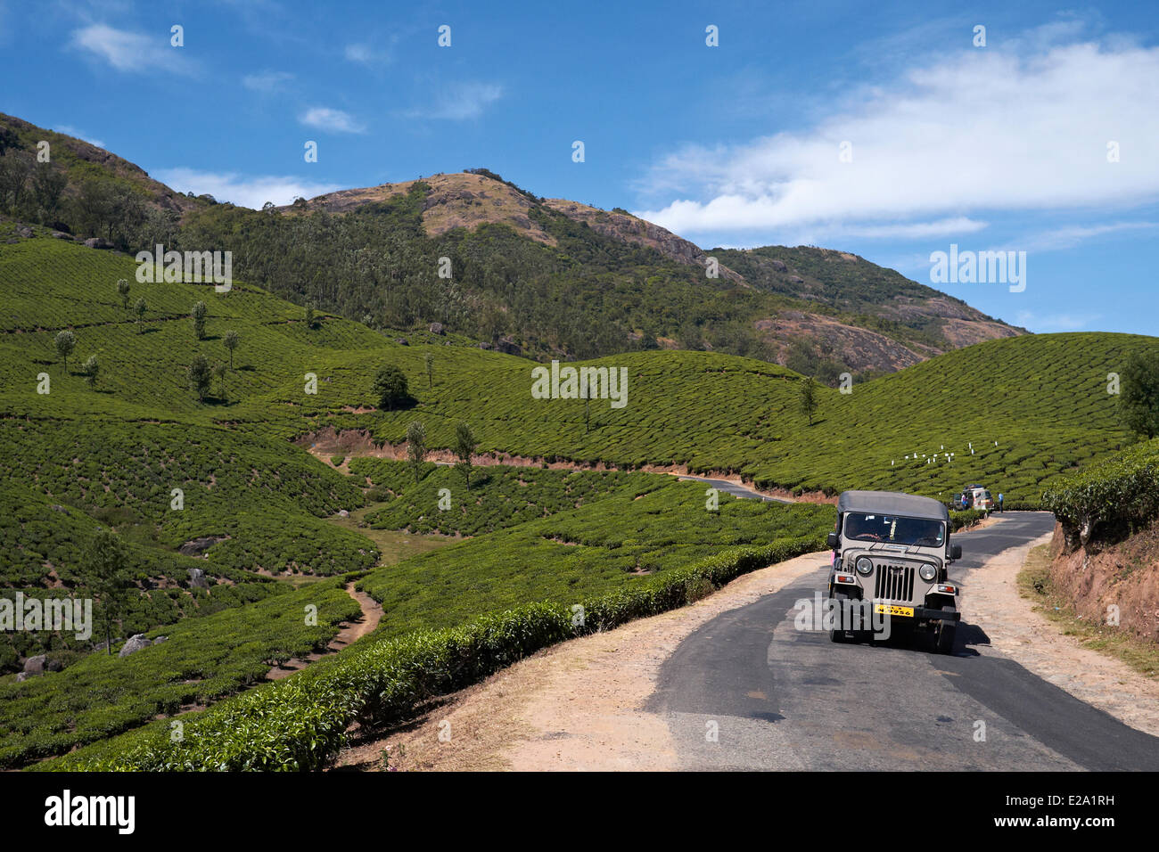 India, Kerala state, the road between Munnar and Kumily through ...