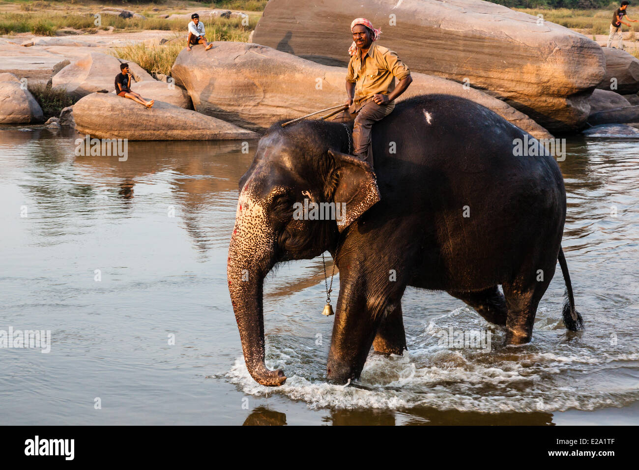 India, Karnataka state, Hampi, the elephant Lakshmi in the Tungabhadra ...