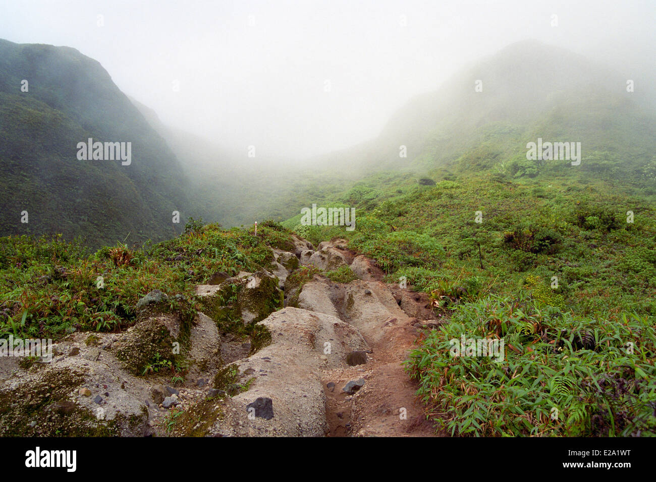 France, Martinique (French West Indies), Morne Rouge, Mount Pelee ...