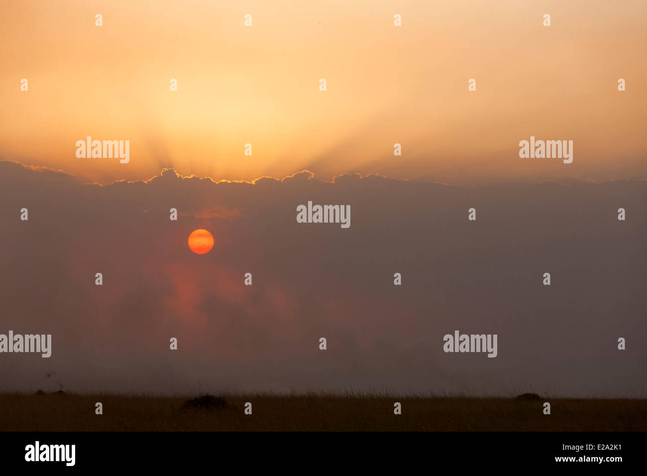 Savanna fire hi-res stock photography and images - Alamy