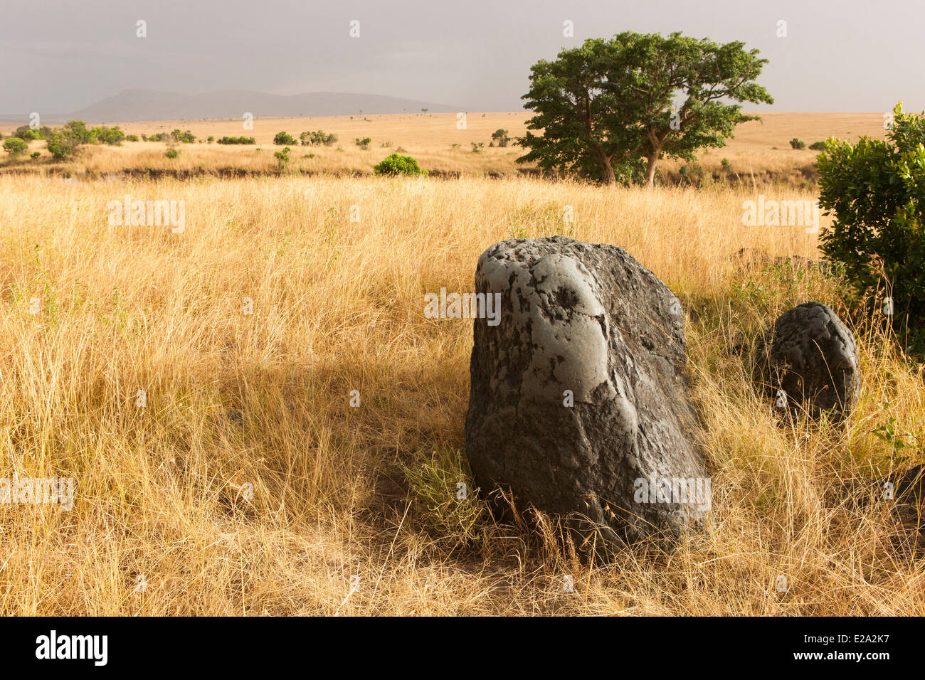 Kopje landscape hi-res stock photography and images - Alamy