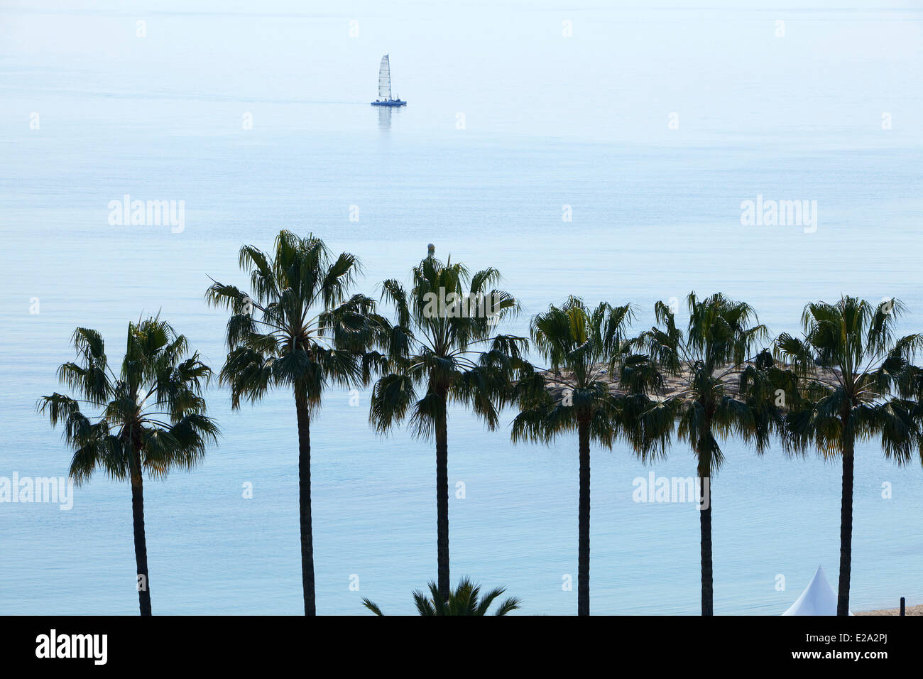 France, Alpes Maritimes, Cannes, sailing in the bay of Cannes Stock ...