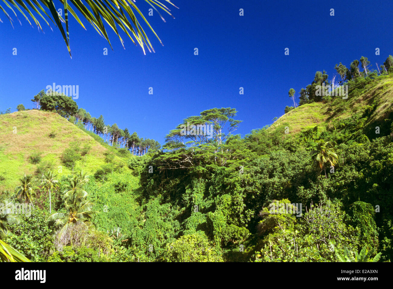 France, French Polynesia, Society Islands, Windward Islands, Tahiti ...