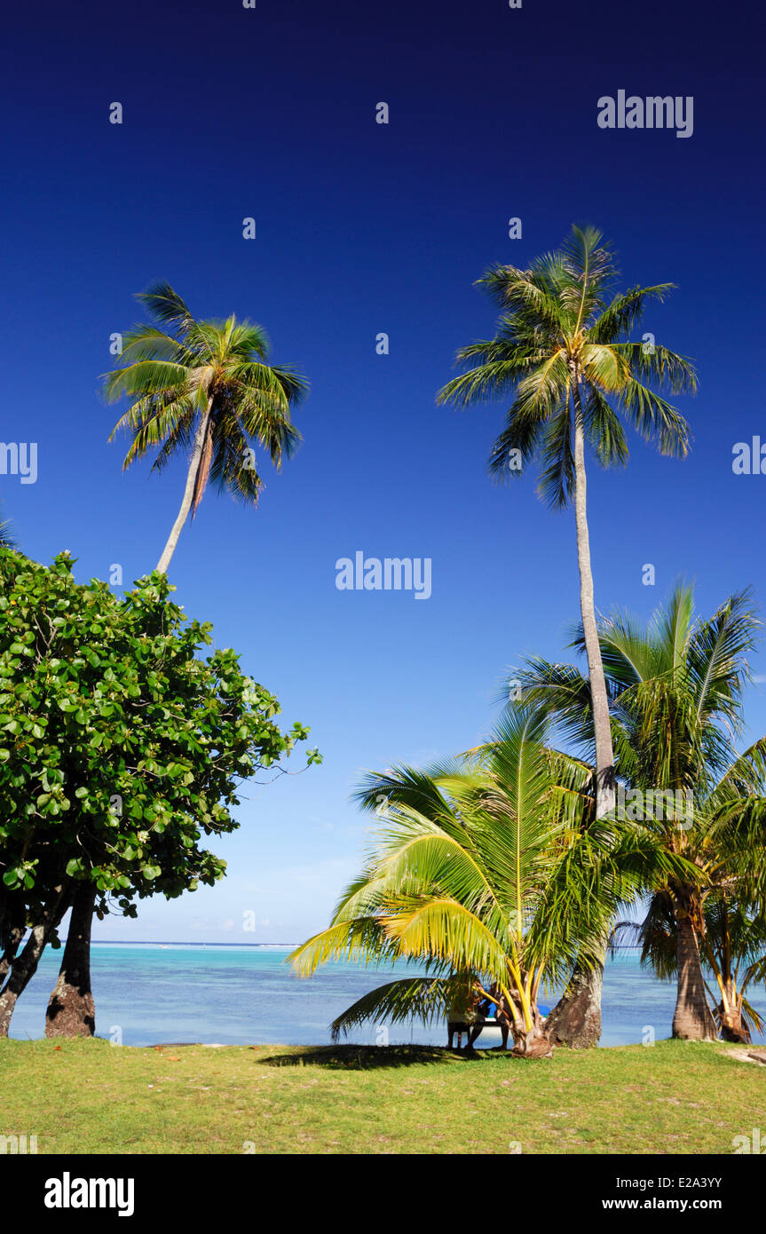 Moorea camping hi-res stock photography and images - Alamy