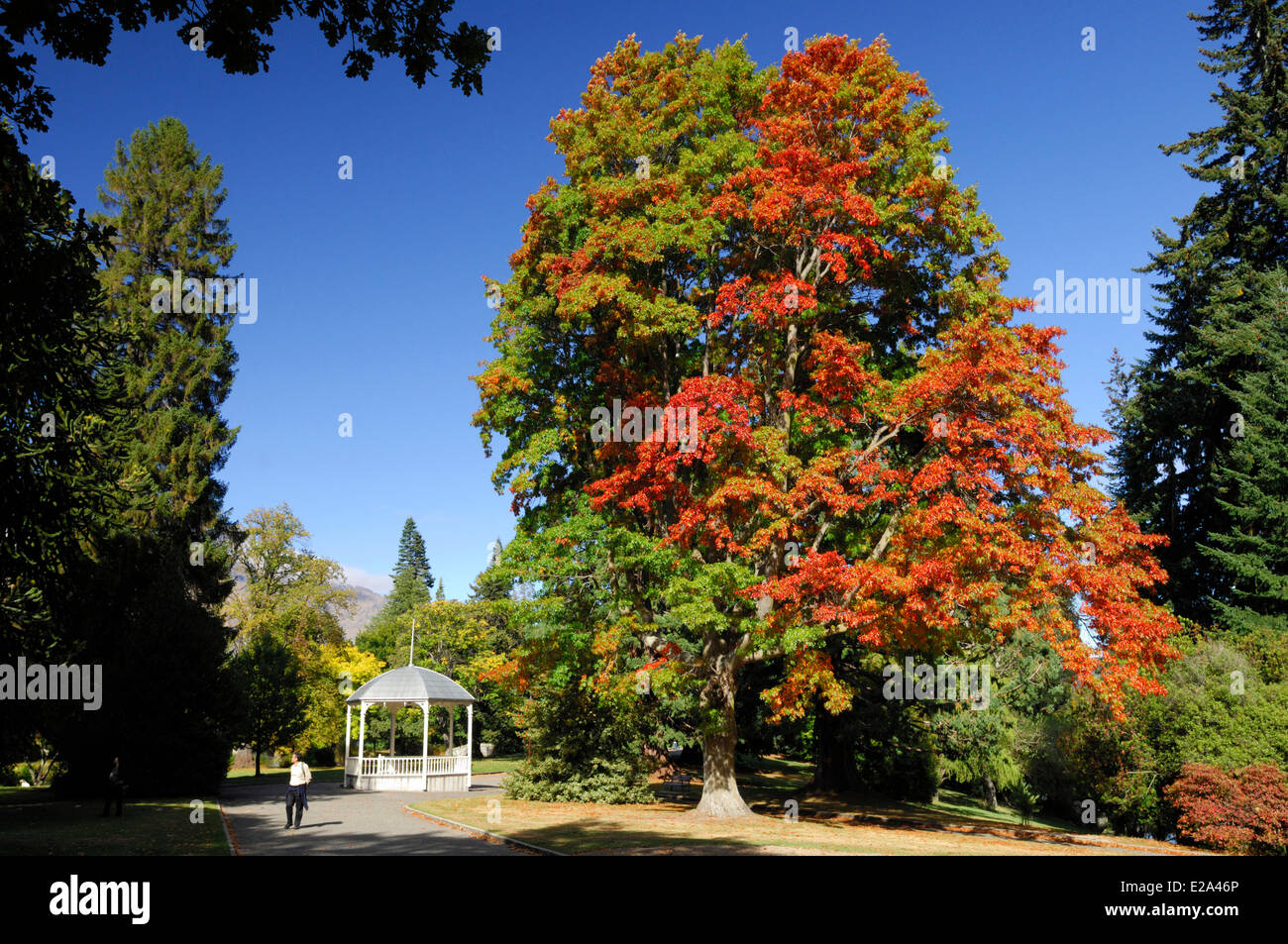 New Zealand, South Island, Region of Otago, Queenstown, Queenstown ...