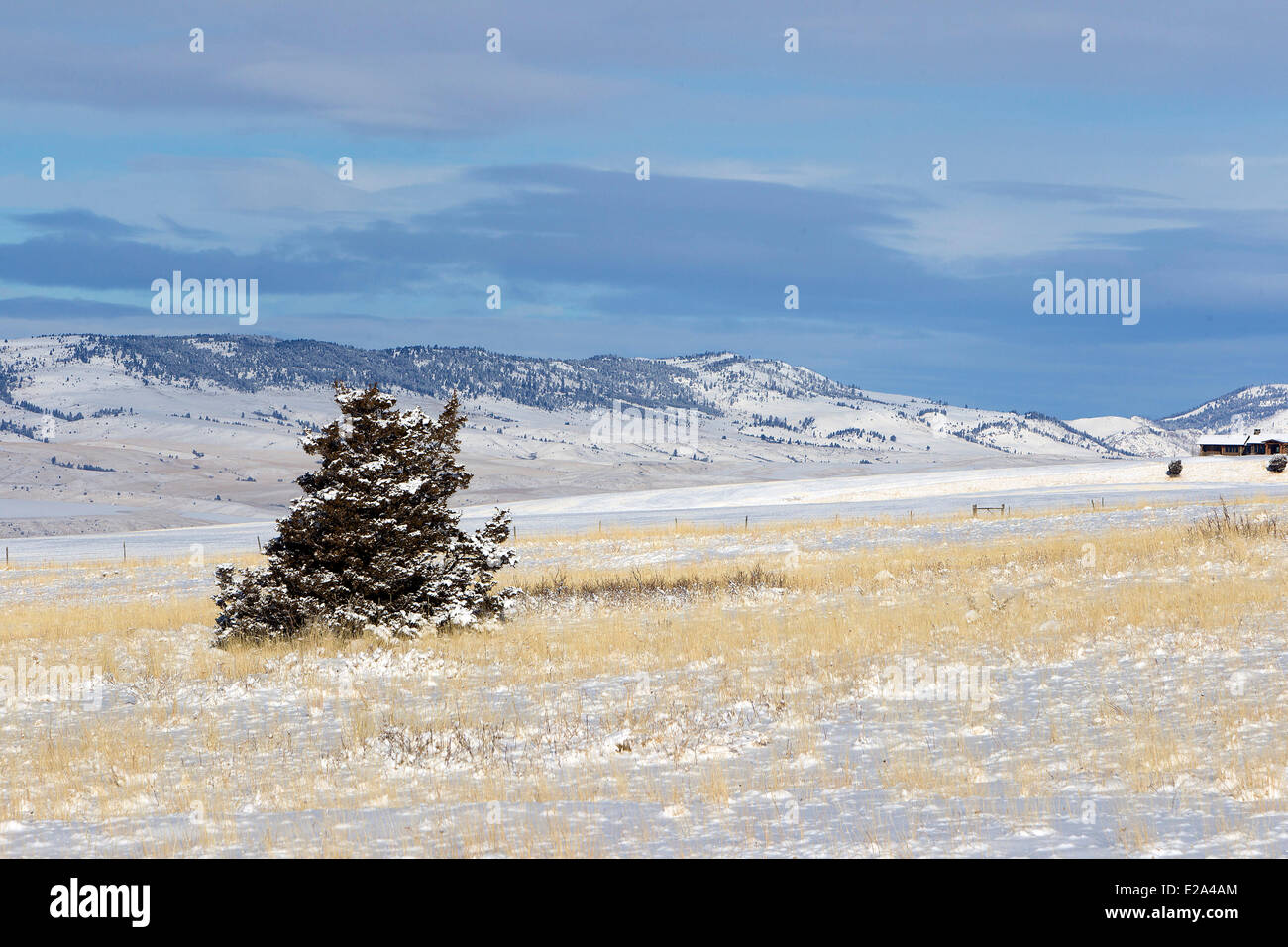 United States, Montana, Bozeman, Rocky Mountains, Tobacco Mountains ...