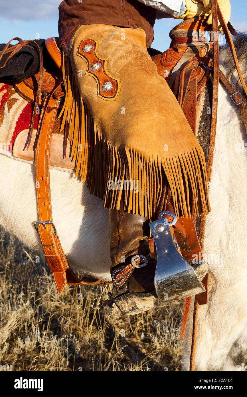 Wyoming cow boy hi-res stock photography and images - Alamy