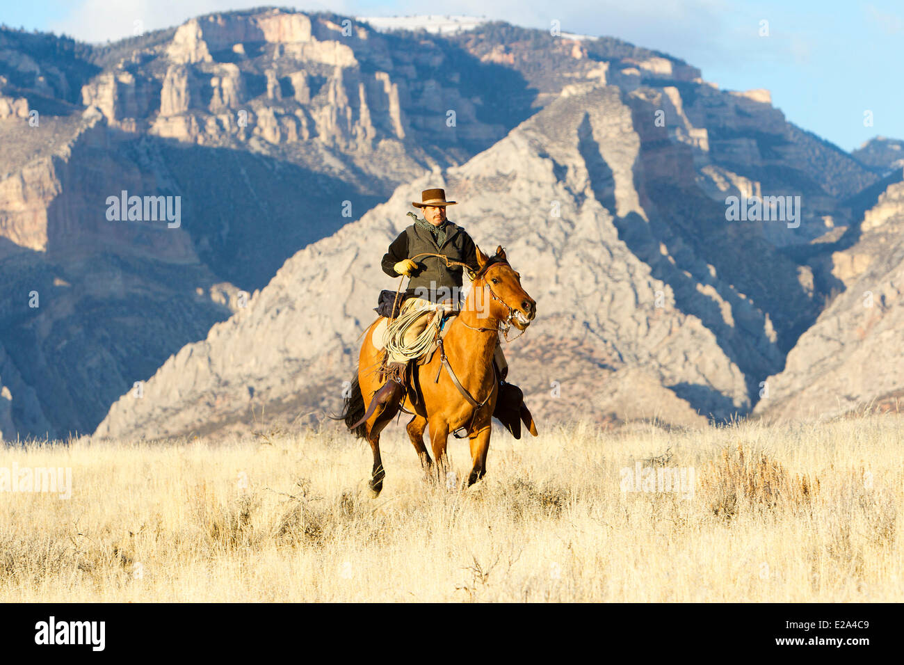 United States, Wyoming, Shell, The Hideout Guest Ranch, cow-boy, Ramon ...
